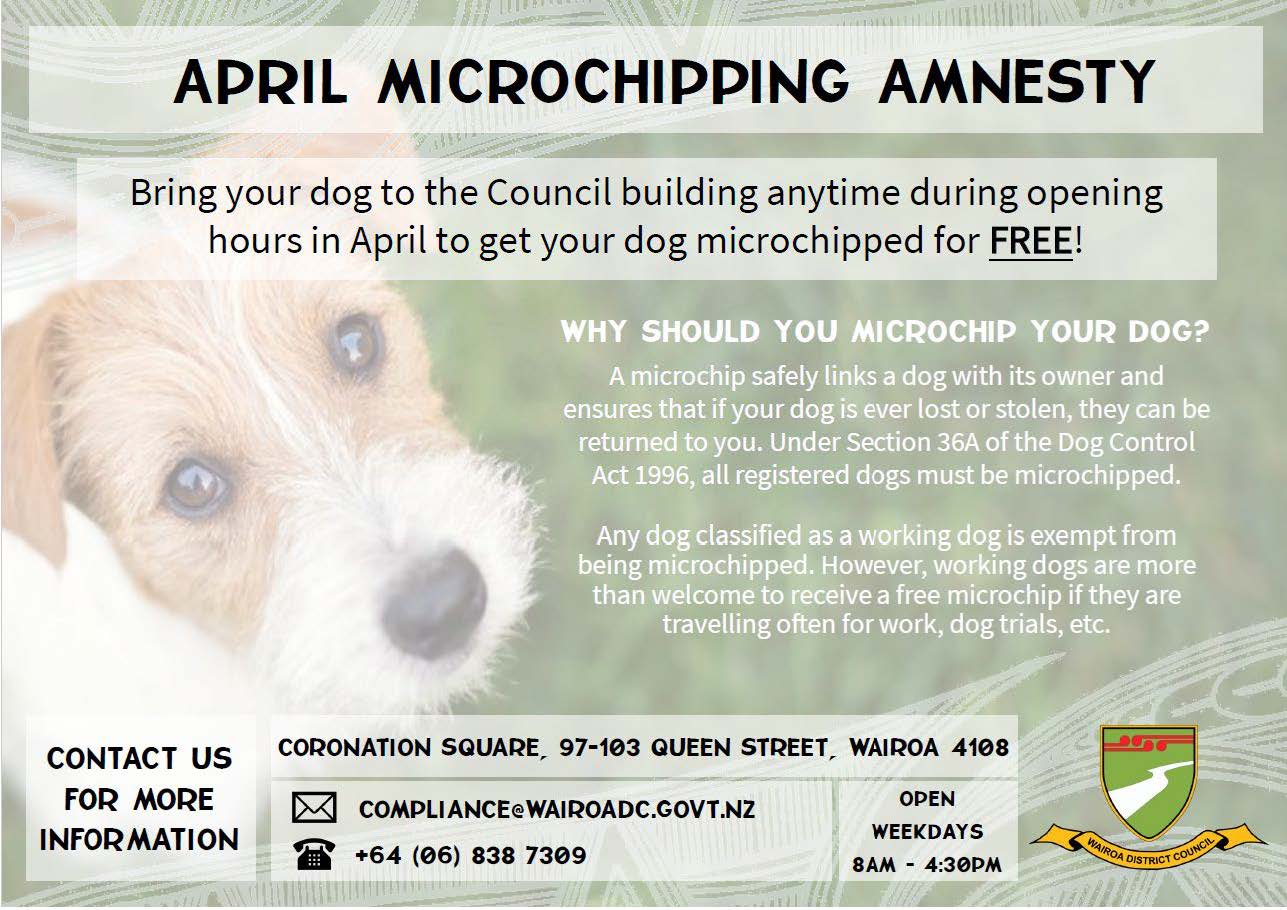 Microchip your dog for free during April | News & Media | Wairoa ...