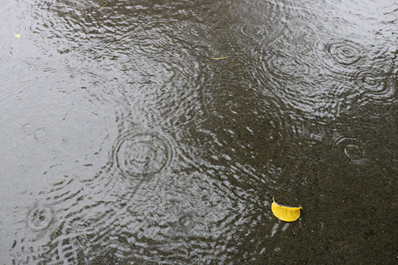 Heavy rain impacts | COVID-19 | Wairoa District Council