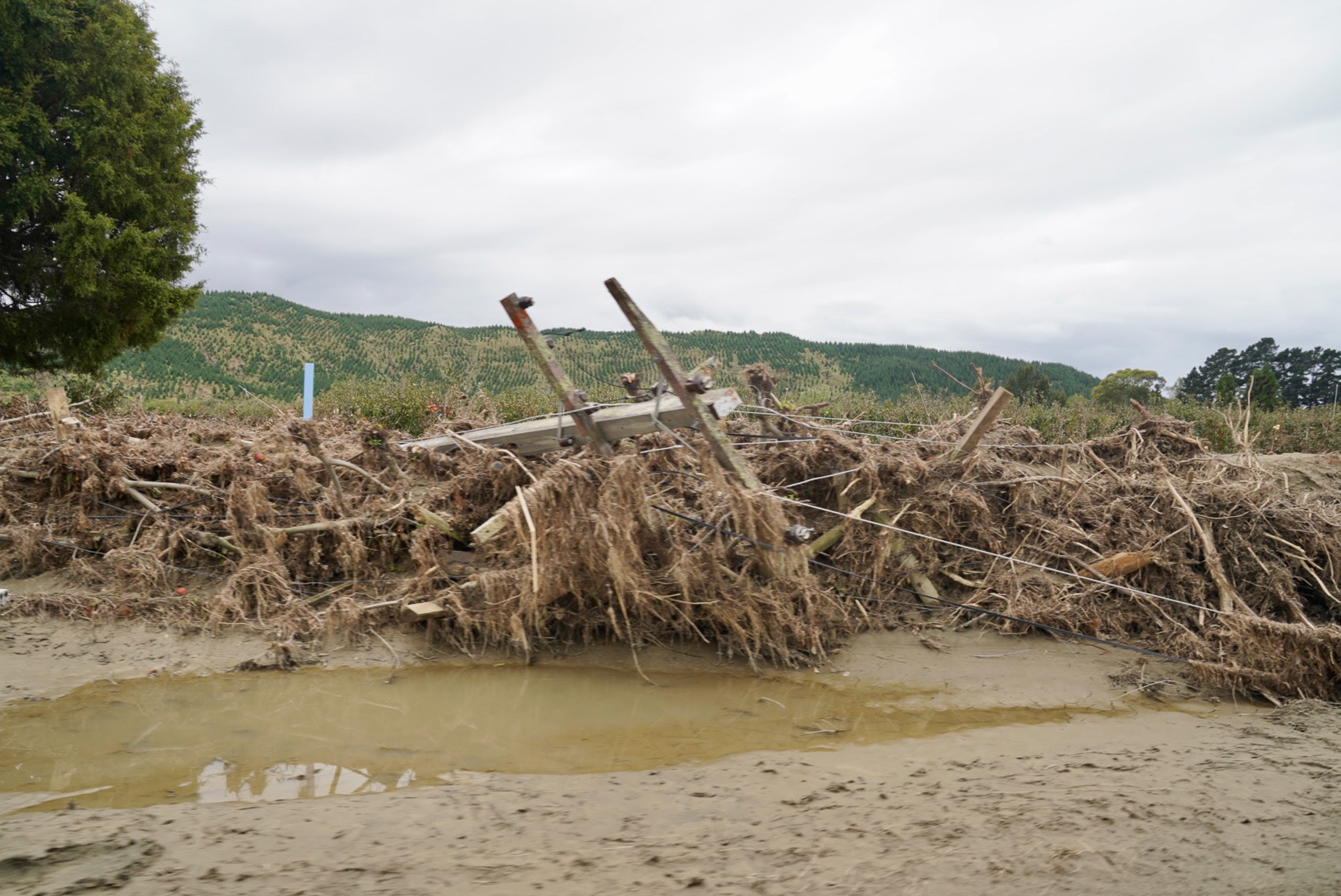 Applications open for commercial entities to fund silt and debris ...