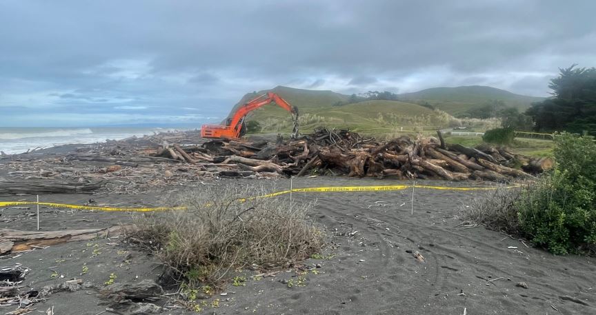 Clean-up of woody debris underway | COVID-19 | Wairoa District Council